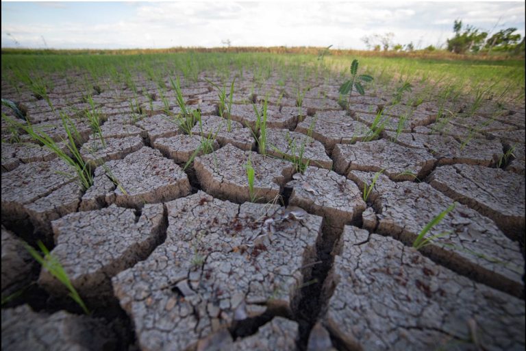 PERWISYO NG EL NIÑO SA AGRI SECTOR, PUMALO NA SA P150M – saksipinas